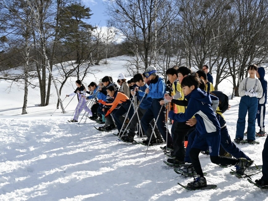 Feb 17 White Long Ducker - Harrow Appi