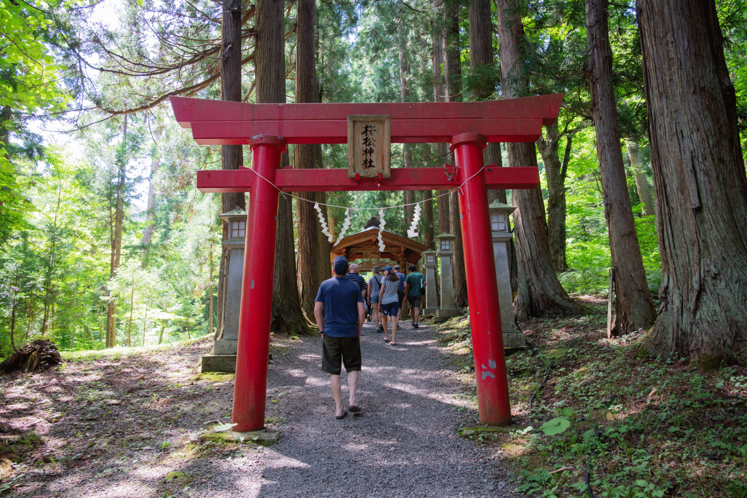 Harrow International School Appi | British Curriculum